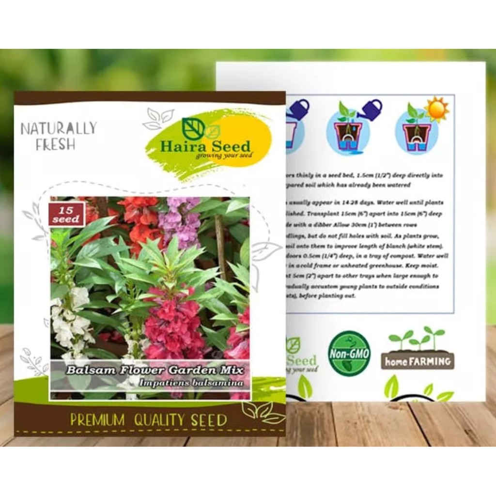 Jual Benih Bibit Bunga Pacar Air/Balsam Flower Garden Mix Haira Seed ...