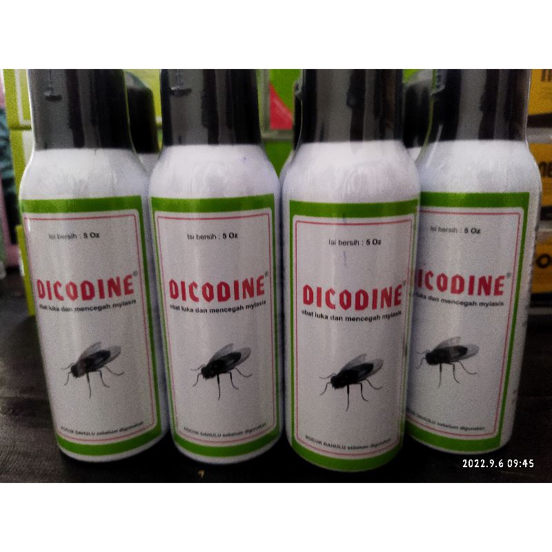 Harga Dicodine Terbaru Mei 2023 |BigGo Indonesia