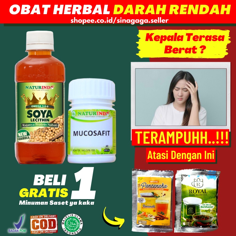 Jual Obat Herbal Tensi Tekanan Darah Rendah Hipotensi Hypotensi Sakit ...