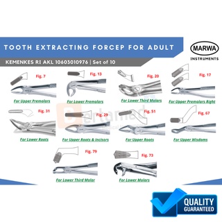 Jual Tooth Extracting Forcep For Adult Set of 10 / Tang Cabut Gigi ...