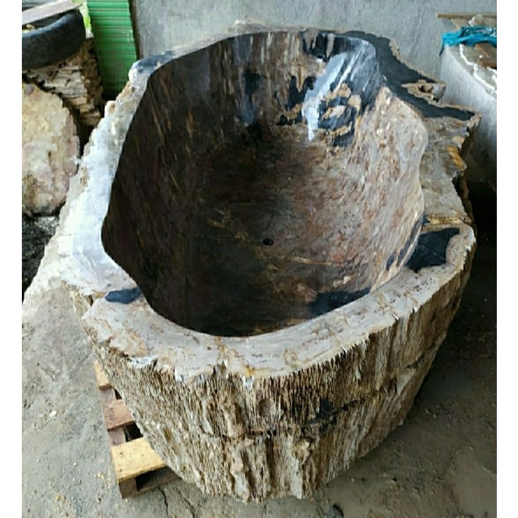 Jual Bak Mandi Batu Fosil Kayu Purba (Petrified Wood Bathtub) | Shopee ...