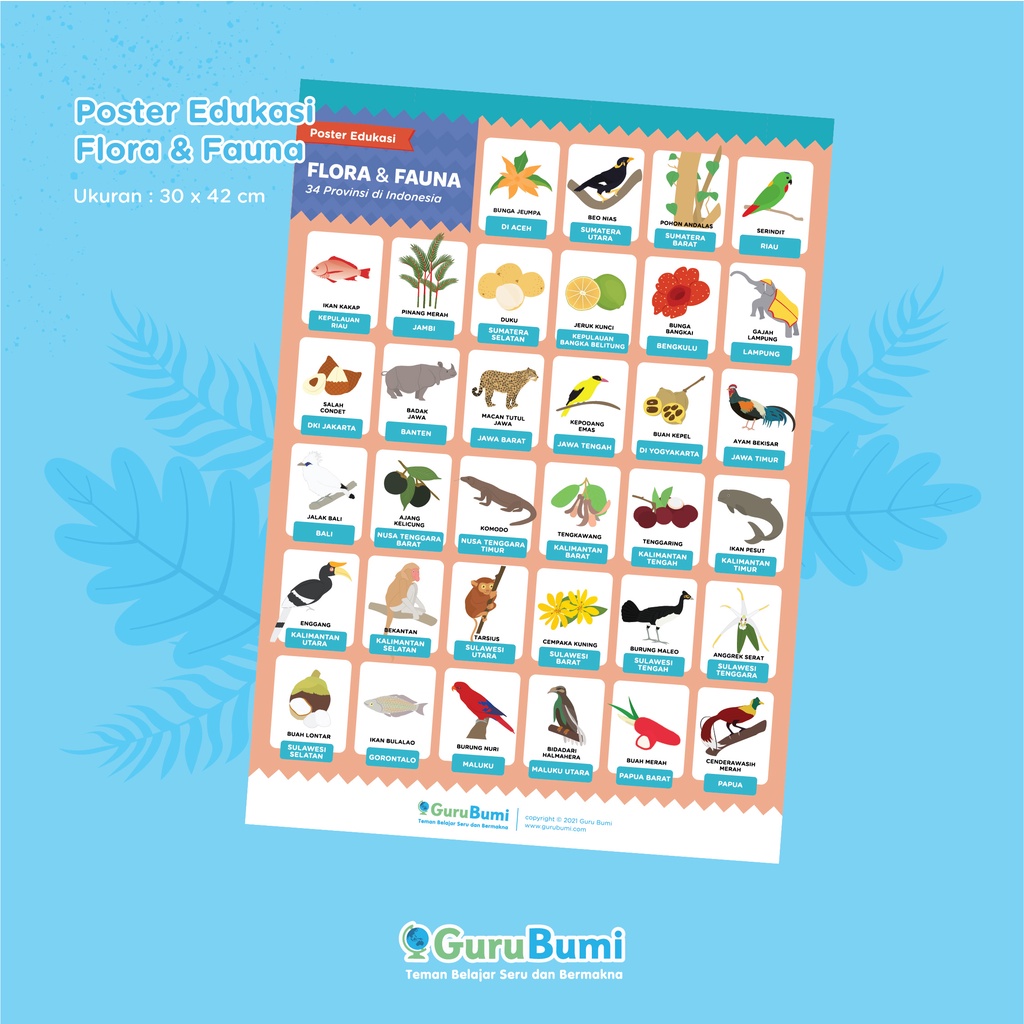 Jual Poster Edukasi Belajar Anak | Flora Fauna Indonesia | Wipe and ...