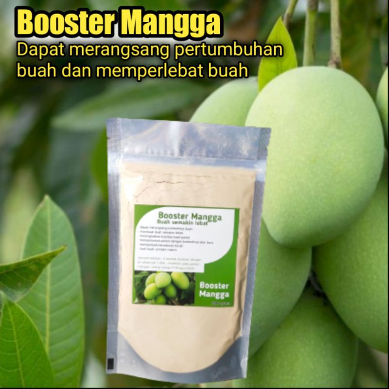 Jual booster mangga , perangsang buah mangga pelebat buah pupuk buah | Shopee Indonesia