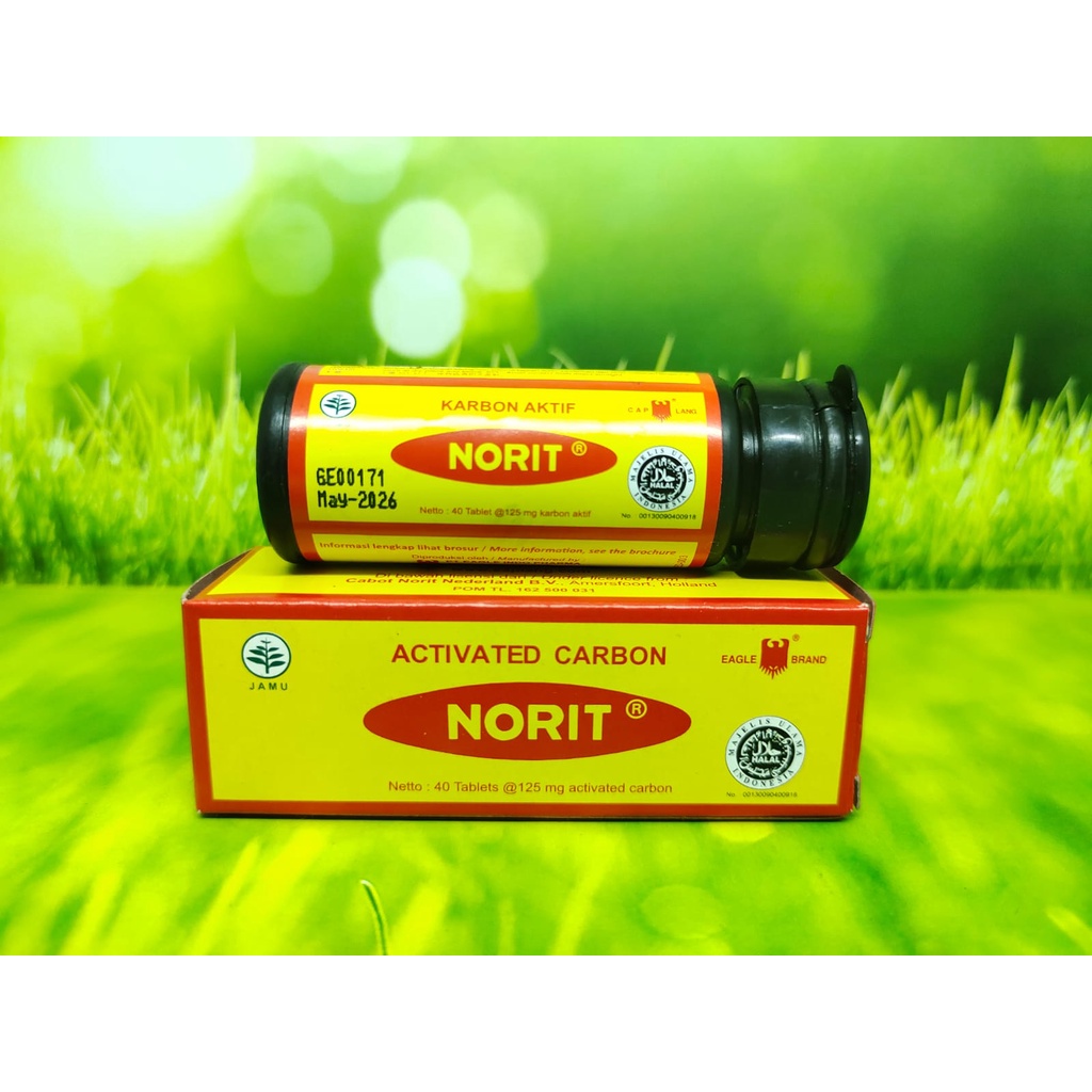 Jual Norit Karbon Aktif 40 Tablet - Obat Diare, Kembung, dan Penyerap ...