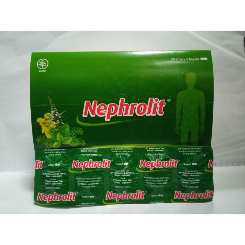 Harga Nephrolit Terbaru April 2024 |BigGo Indonesia