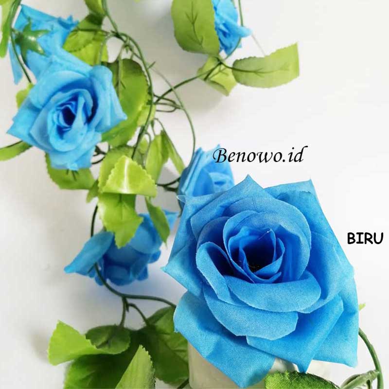 45+ Gambar Bunga Mawar Rambat yang Mantul! - Informasi Seputar Tanaman Hias