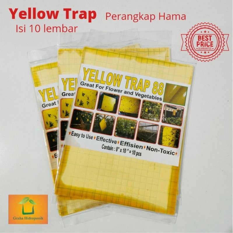 Jual Yellow Trap / Perangkap Kuning Hama Tanaman / Kertas Kuning Tahan ...