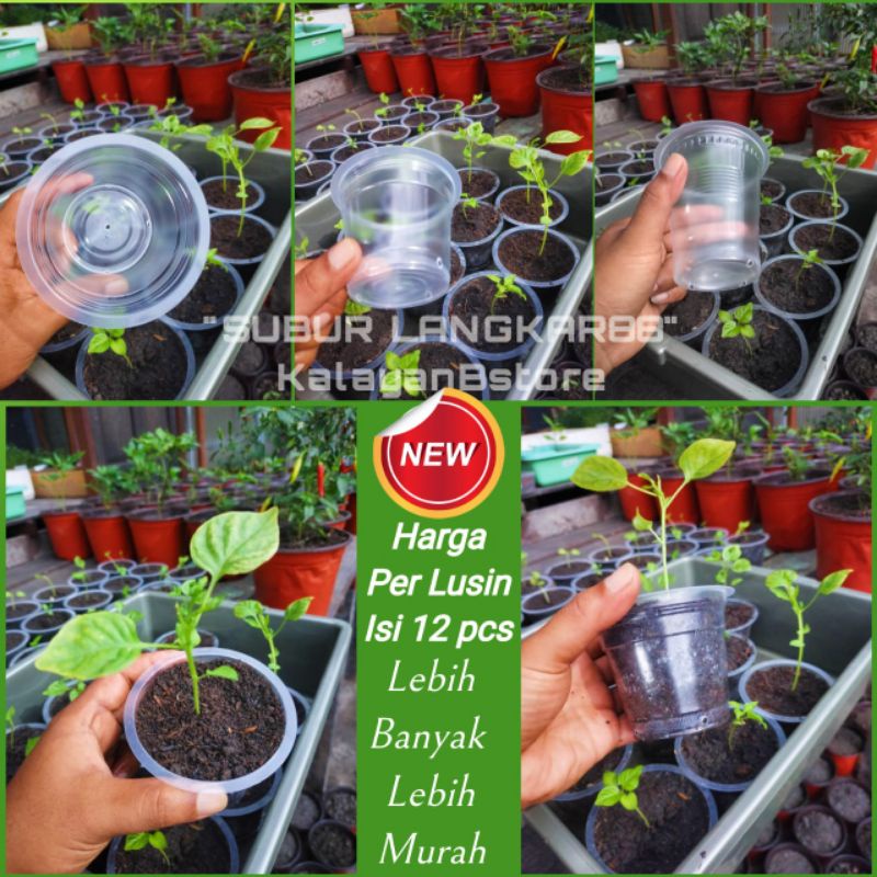 Jual POT SEMAI / GELAS SEMAI BENIH & BIBIT TANAMAN | Shopee Indonesia