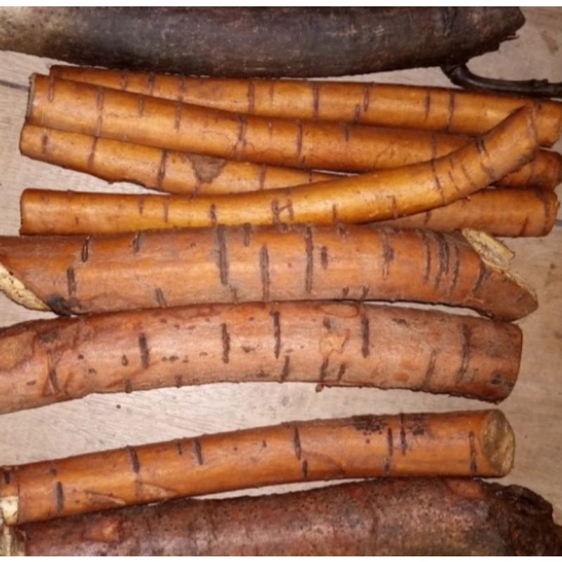Jual Akar tuba fress1kg | Shopee Indonesia