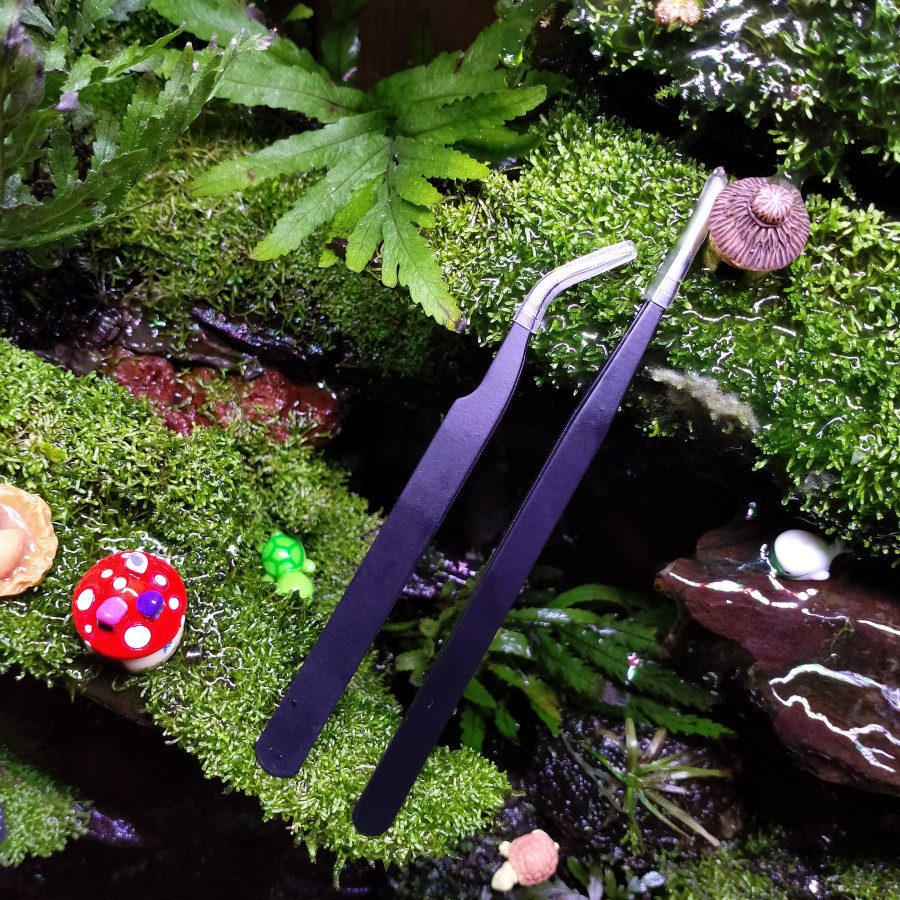 Jual PINSET MINI TERRARIUM VIVARIUM AQUASCAPE CURVE/ STRAIGHT | Shopee ...