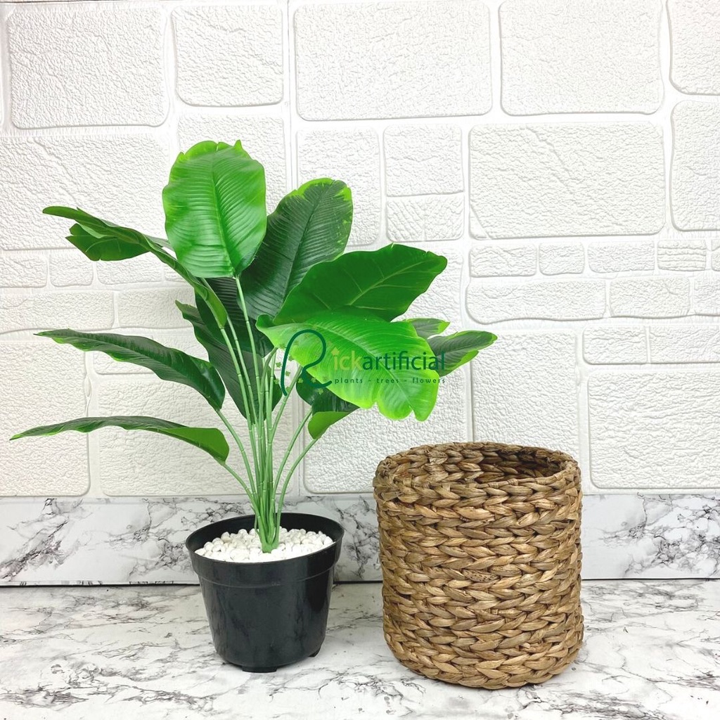 Jual Pohon Daun Talas Pisang Artificial Cover Eceng Gondok Dekorasi ...