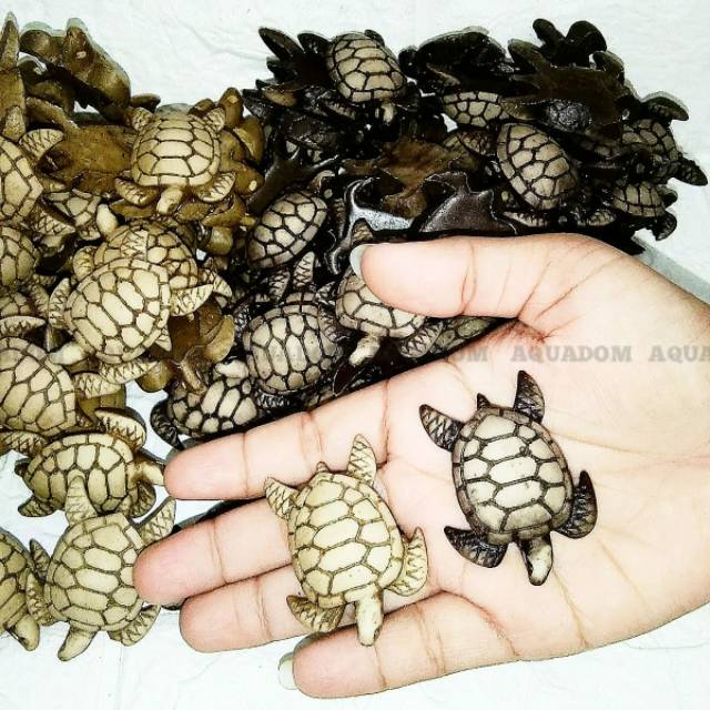 Jual REPLIKA KURA KURA PALSU BAHAN RESIN HIASAN AQUARIUM Indonesia ... Jual REPLIKA KURA KURA PALSU BAHAN RESIN HIASAN AQUARIUM Indonesia ...