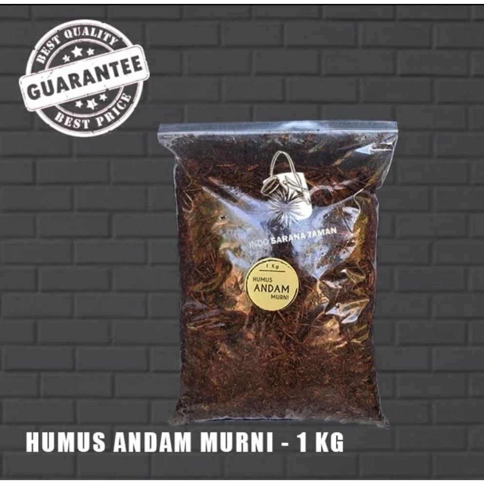 Jual MEDIA TANAM ANDAM HUMUS MURNI 1kg Nutrisi Tanaman Metan ...
