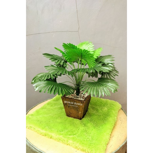 Jual pohon palem kipas- pohon palem artificial- hiasan meja- palem ...
