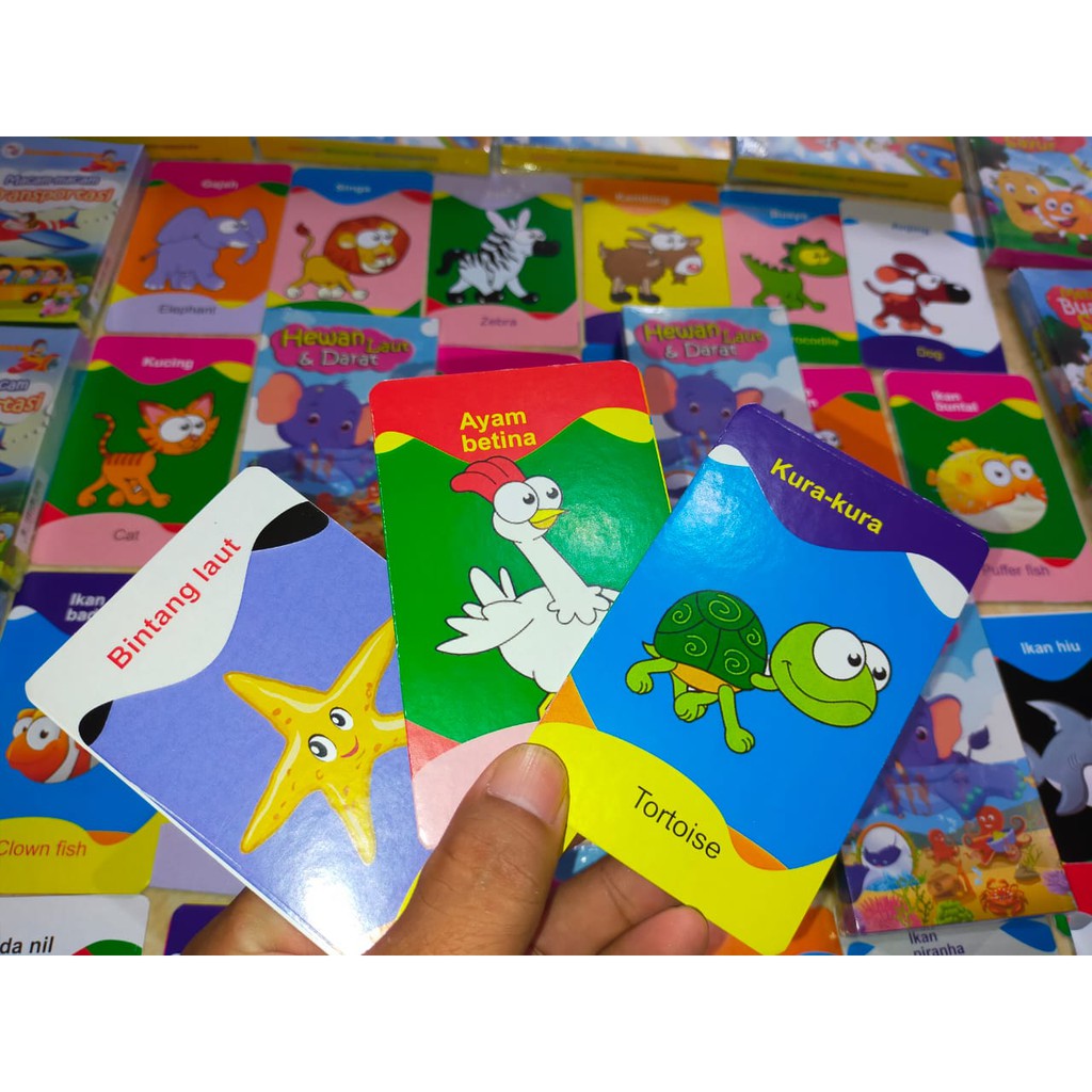 Jual FLASH CARD ANAK - Belajar Mengenal Hewan Laut dan Darat #EDUKASI ...