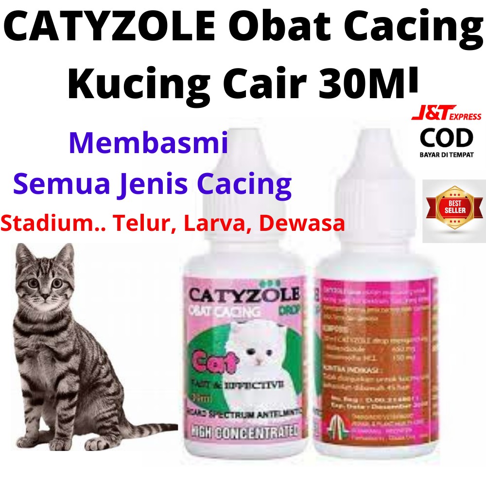Jual CATYZOLE Obat Kucing Obat Cacing Kucing Cair Sirup Kitten Anak ...