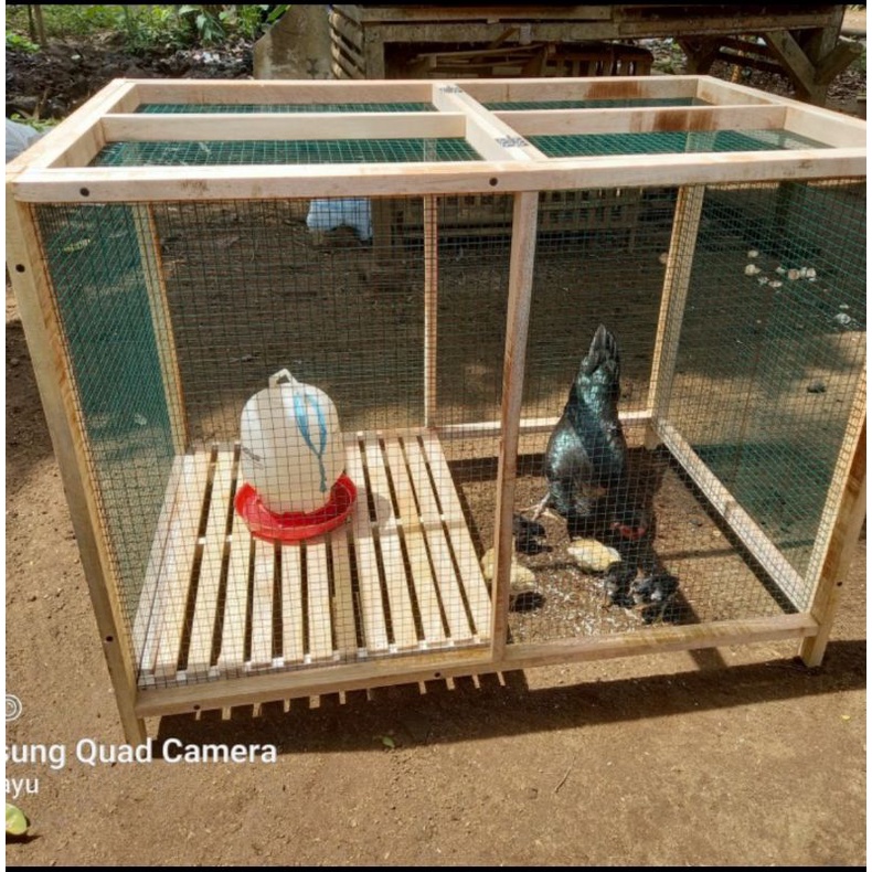 Jual Kandang Ayam Indukan | Kandang ayam Umbaran minimalis | Shopee ... Jual Kandang Ayam Indukan | Kandang ayam Umbaran minimalis | Shopee ...