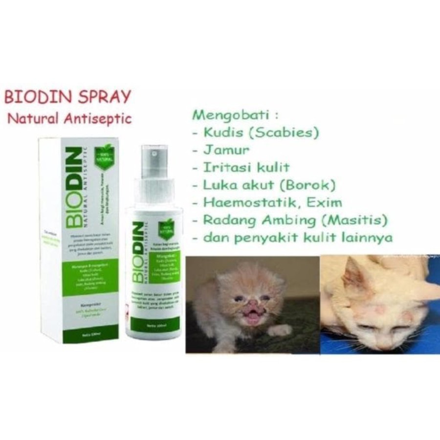 Jual BIODIN SPRAY 20ML | OBAT JAMUR SCABIES KUCING ANJING DEMODEX - 20 ...