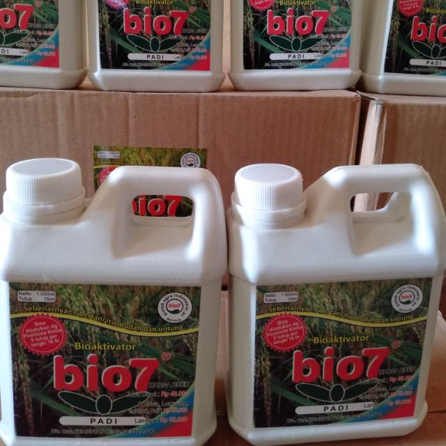 Produk BIO7 CIREBON | Shopee Indonesia