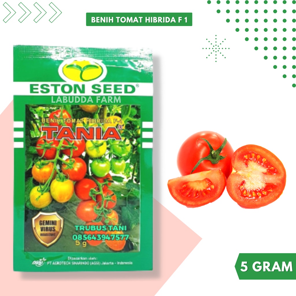 Jual Bibit Tomat - Tomat Tania F1 Tomat Tahan Virus Kemasan 5gr ...