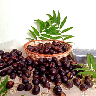 Jual BUAH LERAK ASLI DAN ORIGINAL Indonesia|Shopee Indonesia