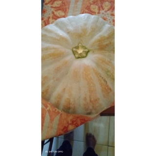 Jual waluh kuning labu kuning harga per kg | Shopee Indonesia