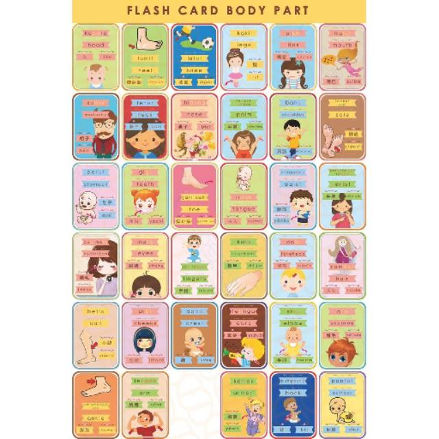 FLASHCARD FINGER, BODY PART & FAMILY/KELUARGA, BAGIAN TUBUH, NAMA JARI ...