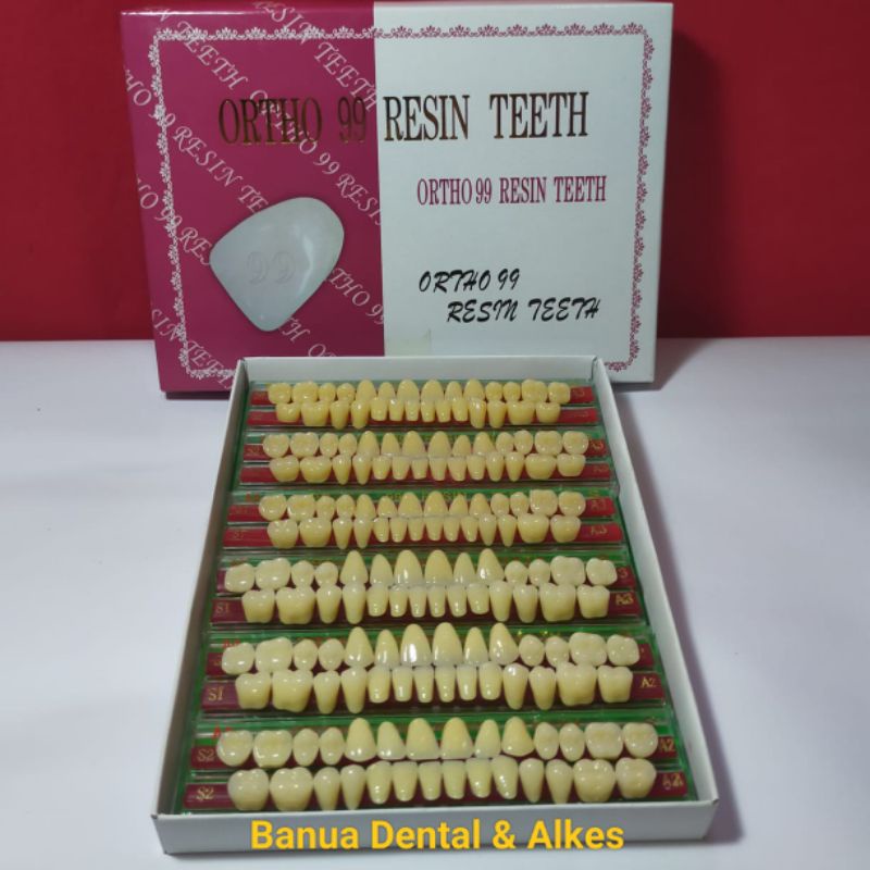 Jual Gigi Fullset Ortho 99 resin teeth / gigi palsu / gigi tiruan ...