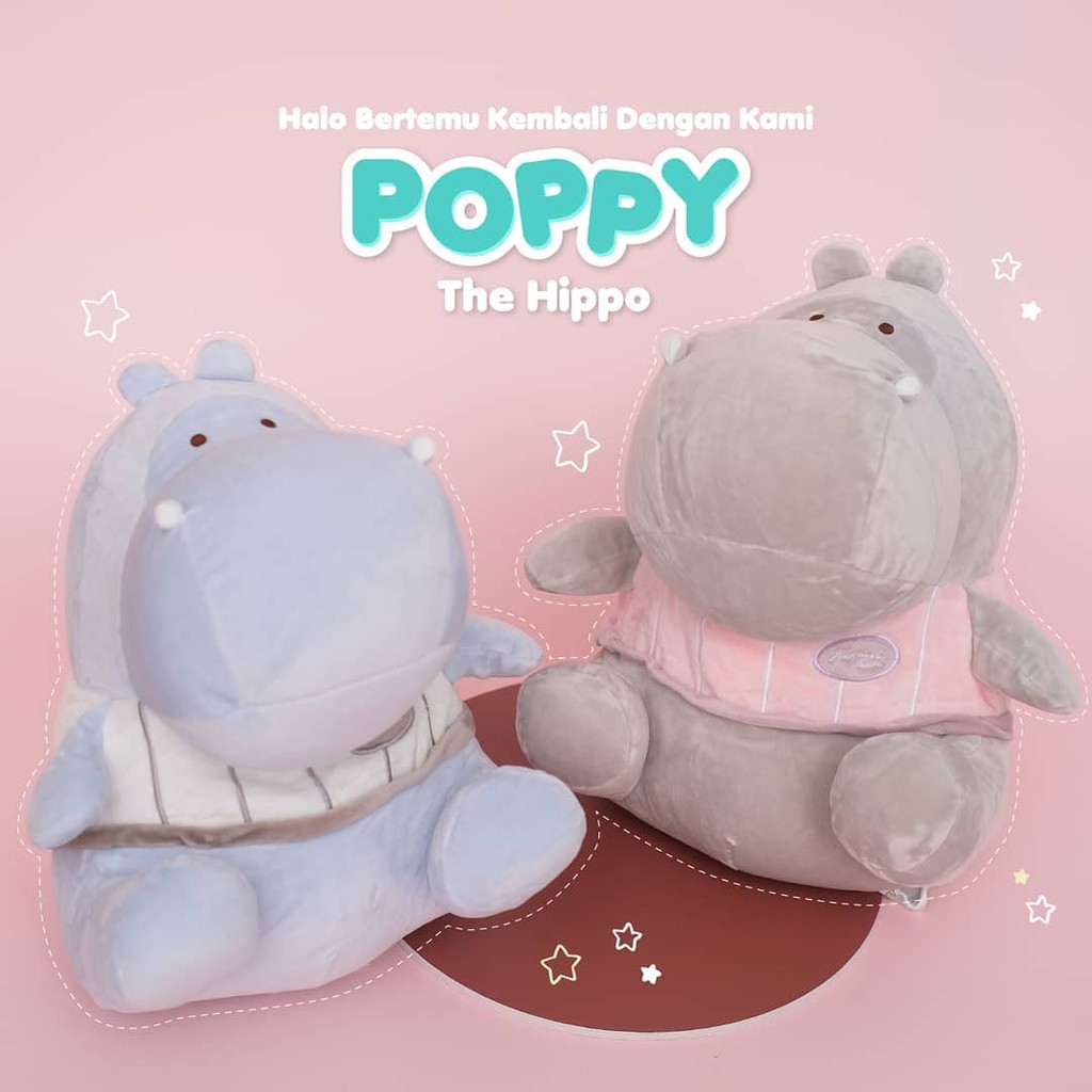 Jual Poppy the Hippo - Boneka Anti Bakteri / Plush Toys - Boneka Kuda ...