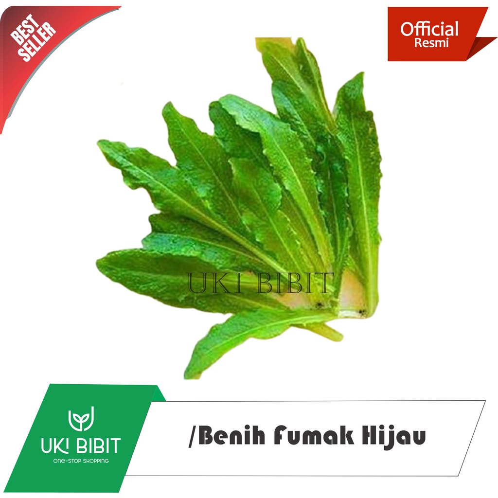 Jual ( 900 Butir ) Benih Fumak Hijau | Shopee Indonesia