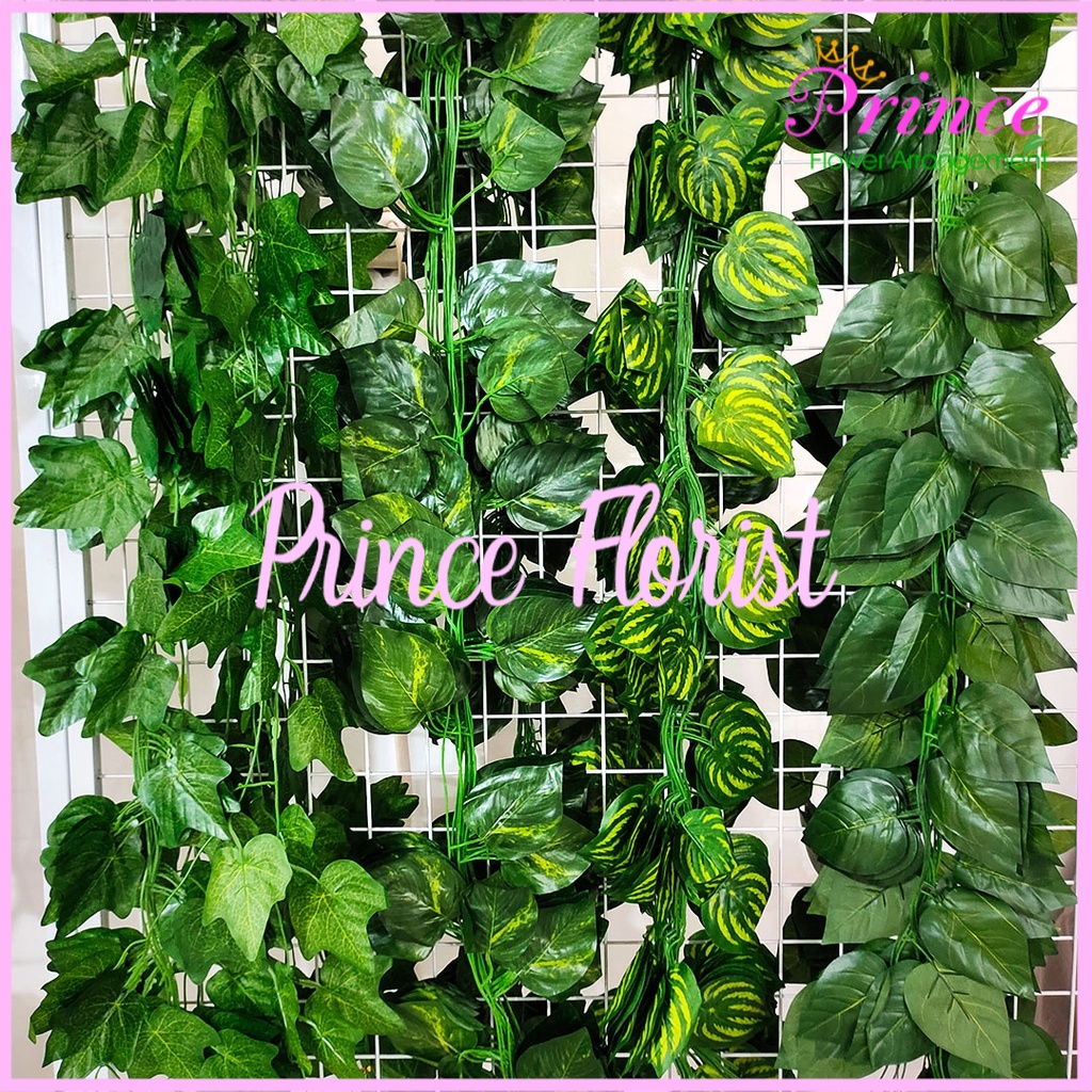 Jual bunga akar gantung Harga Terbaik & Termurah Desember 2022 | Shopee ...