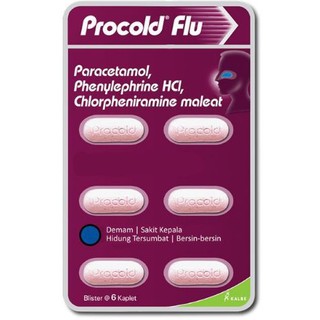 Jual Procold Flu & Batuk / Obat Flu / Obat Batuk / Obat Pilek / Obat ...