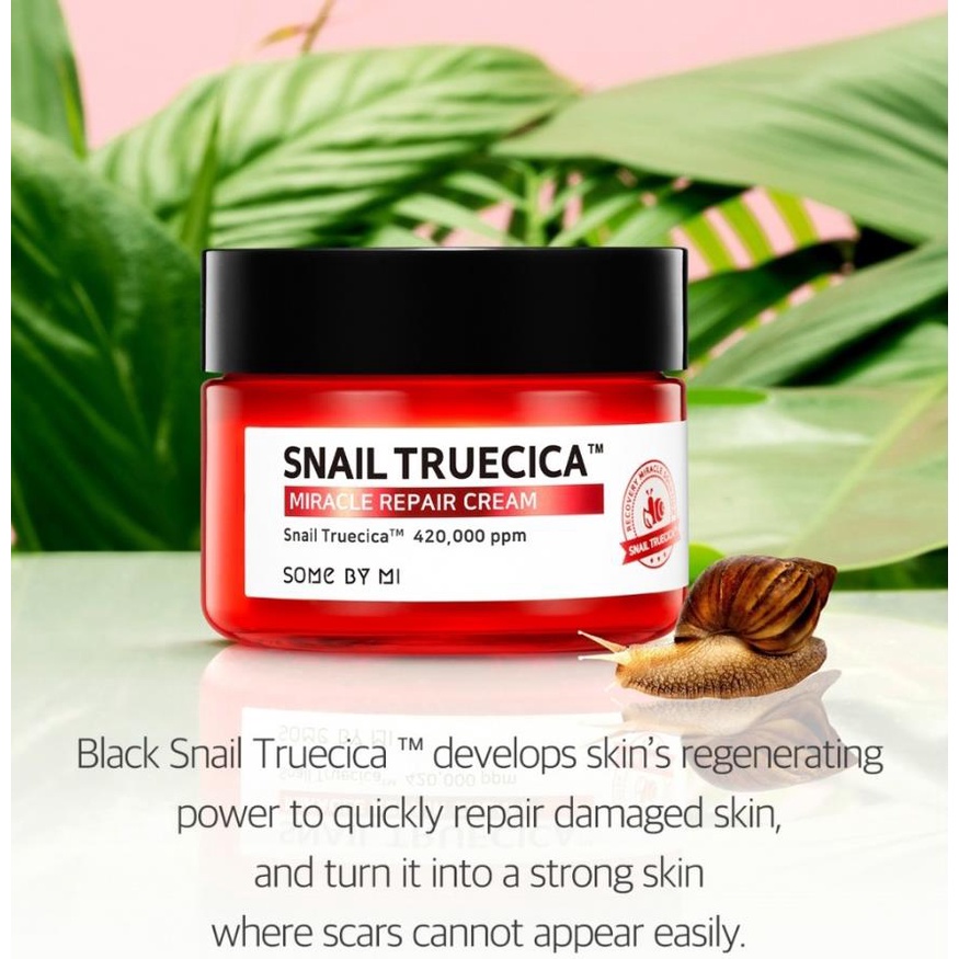 Jual SOMEBYMI Snail Truecica Miracle Repair Cream 50ml | Shopee Indonesia