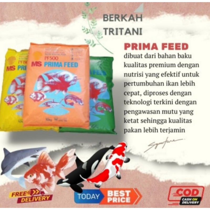 Jual PAKAN BENIH IKAN PF-500/PF-800/PF-1000 KEMASAN 250 GRAM | Shopee ...
