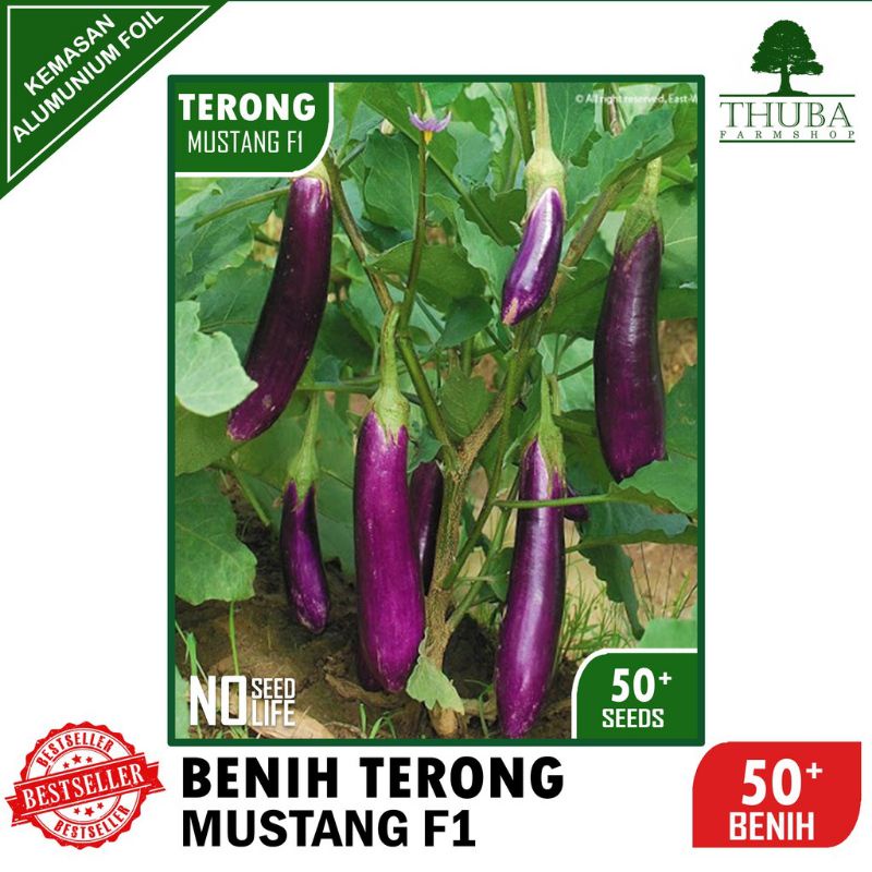 Jual Benih Terong MUSTANG F1 - Bibit Terung Berkualitas | Shopee Indonesia