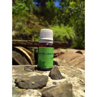 Jual 10 ml sampel - minyak daun sirih - betel leaf oil (Piper betle) | Shopee Indonesia