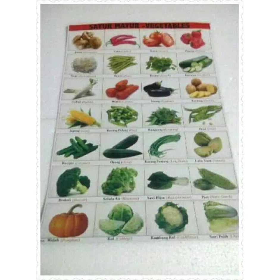 Jual Cuci Gudang!! Poster Edukasi Seri Sayur | Shopee Indonesia