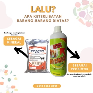 Jual Obat PMK Sapi - Obat anti Penyakit Mulut dan Kuku Sapi - PMK Sapi ...