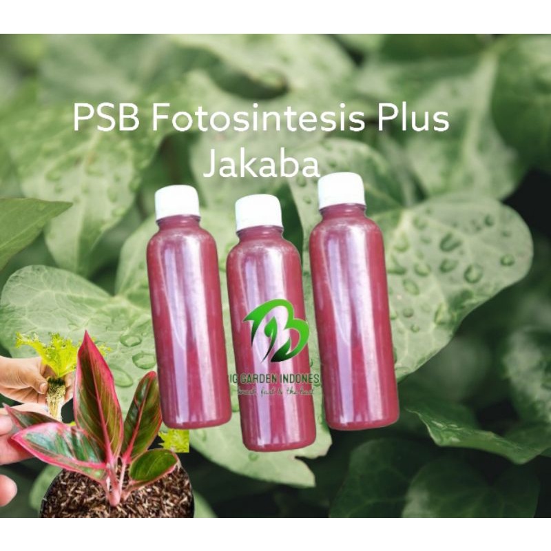 Jual Pupuk Organik POC Super PSB Biang Jakaba 250 ml | Shopee Indonesia