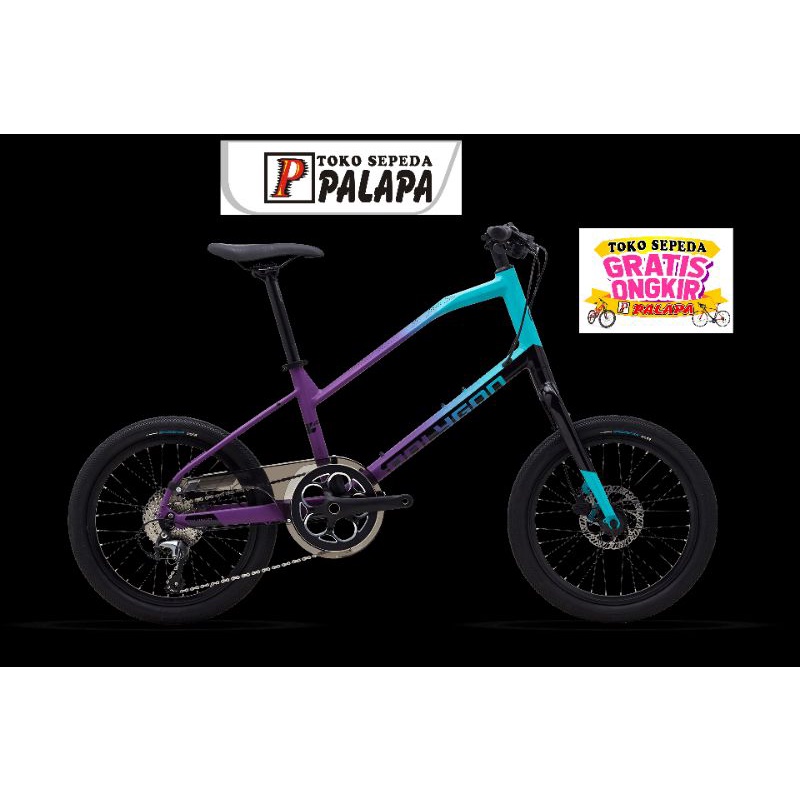 Jual SEPEDA MINIVELO 20 POLYGON ZETA 2 Mini Velo 2.0 | Shopee Indonesia