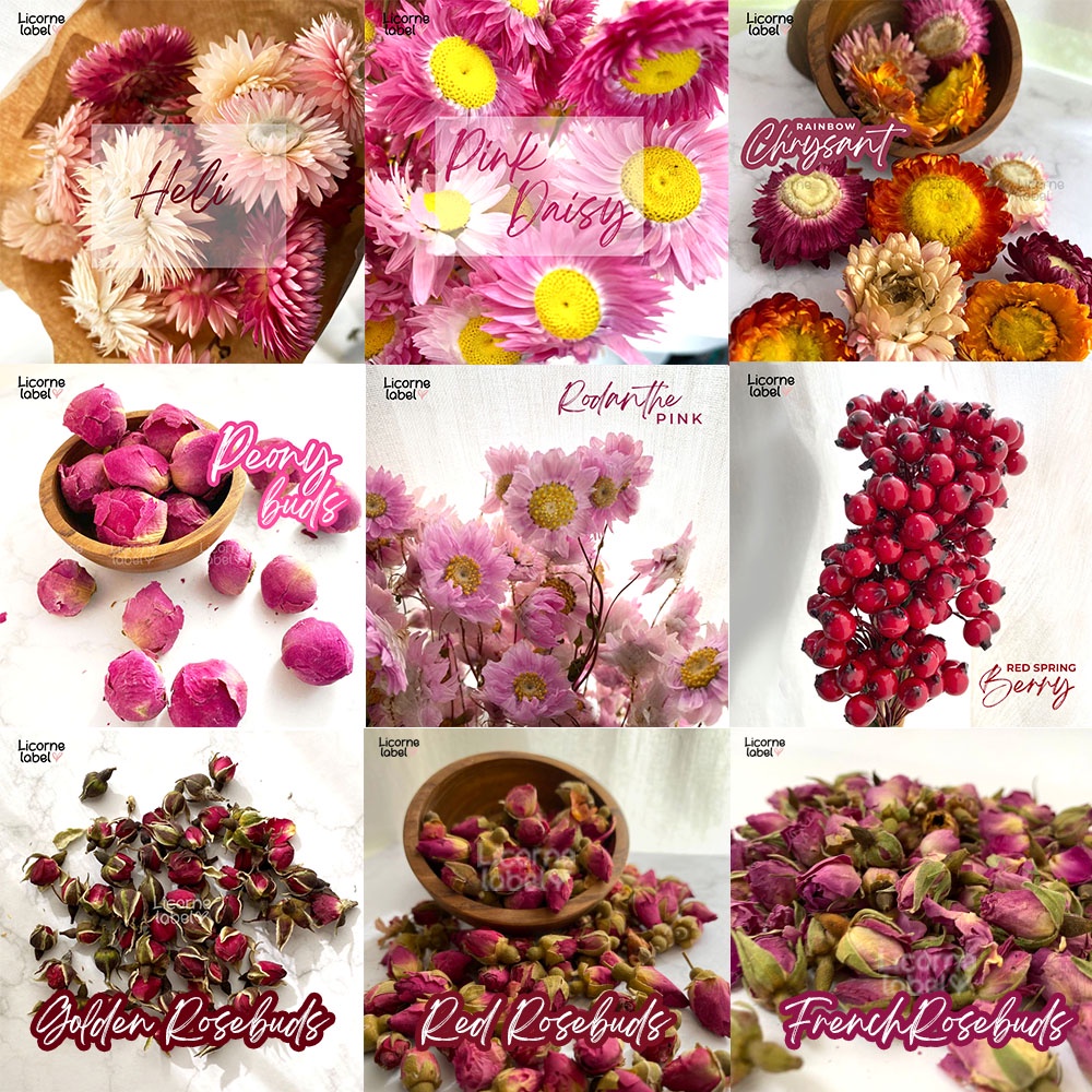 Jual Dried Flower bunga kering Lavender Daisy Hiasan dekorasi resin ...