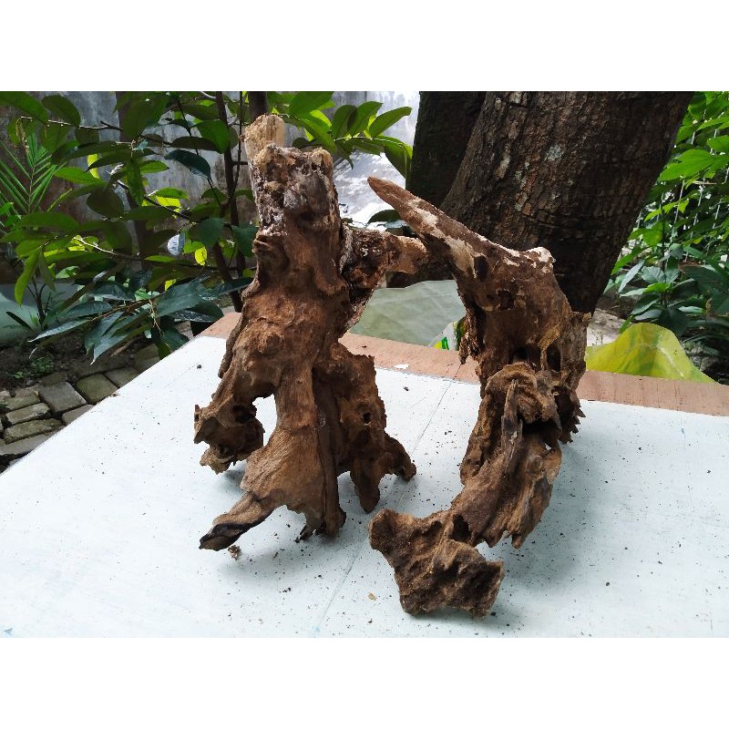 Jual paket kayu rentek driftwood aquascape paludarium aquarium | Shopee ...