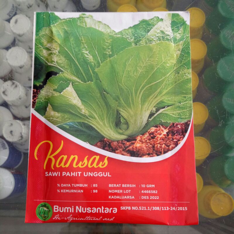 Jual Bibit sawi pahit KANSAS 10g / benih sayur / sawi mangkok / selada ...