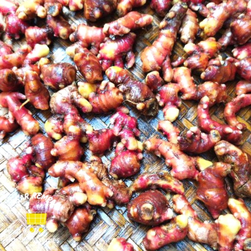 Jual Jahe Merah Bersih 1kg Kecil Jahe Merah Segar Jahe Merah Medan ... Jual Jahe Merah Bersih 1kg Kecil Jahe Merah Segar Jahe Merah Medan ...