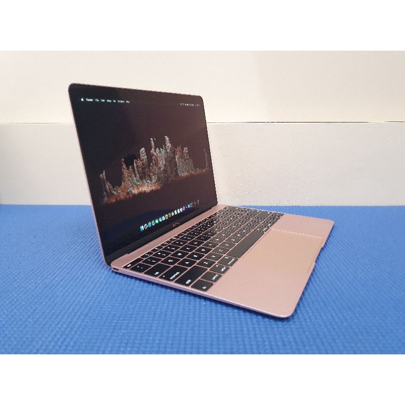 Jual Macbook Retina 12-inch 2016 Core M3 Ram 8GB SSD 256GB Layar QHD ...