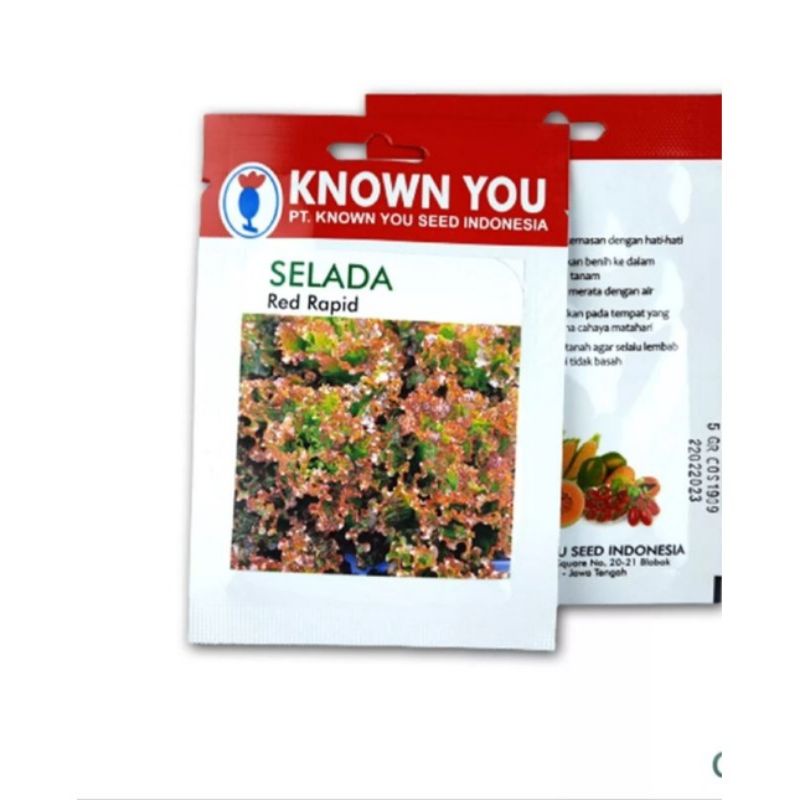 Jual Benih bibit Selada RED RAPID atau Selada merah original | Shopee Indonesia