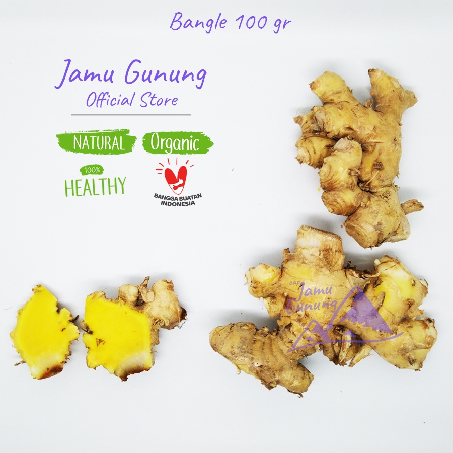 Jual Bengle atau Bangle Segar 100gr - Organik Asli Gunung | Shopee ...