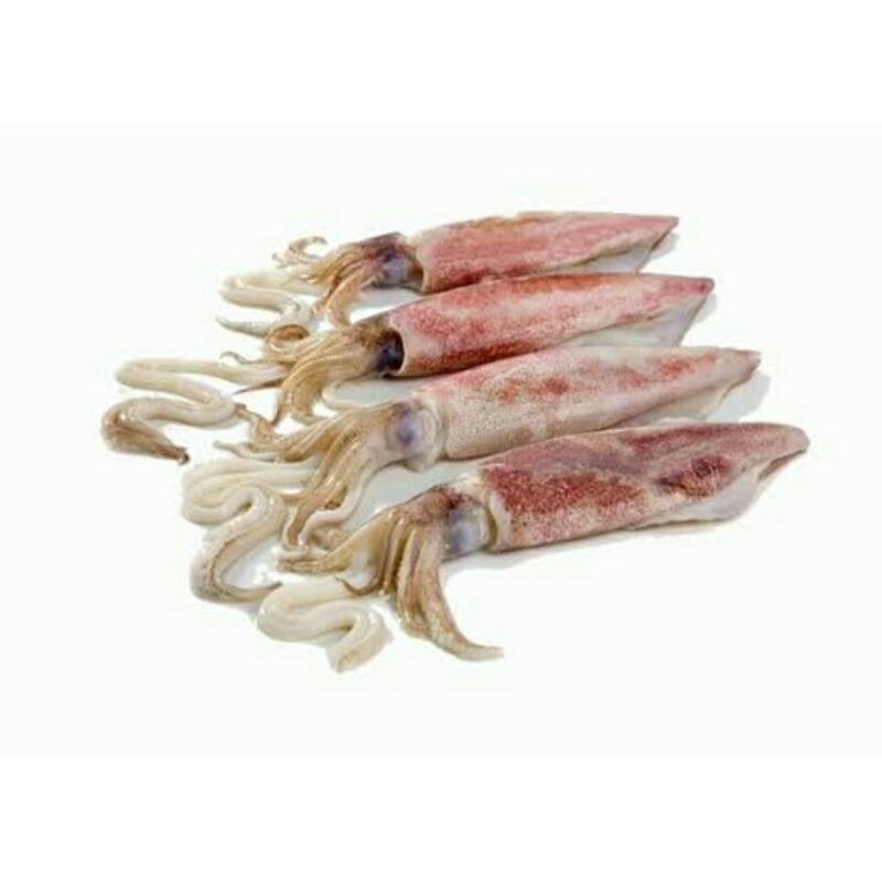Jual Cumi Cumi Segar 500 gr Gerobak Sayur Palembang Indonesia|Shopee ...
