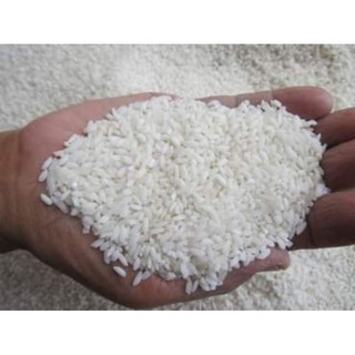 Jual Beras Mentik Susu (curah 5 kg ) | Shopee Indonesia