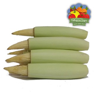 Jual Jagung Muda - Soleng - 250 Gram | Shopee Indonesia